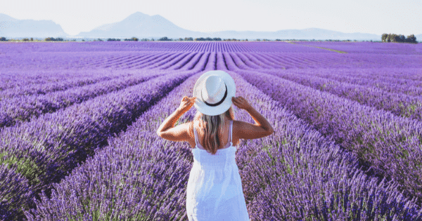 Journey To Euphoria | Create a Simplified, Euphoric Life